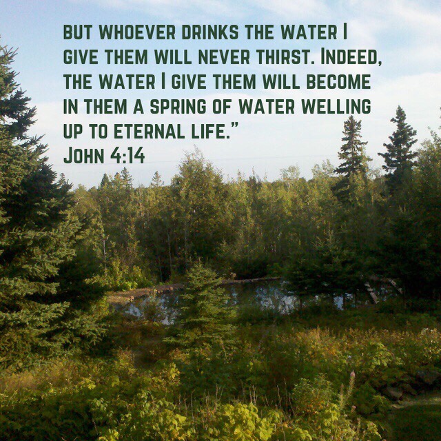 Spring of eternal life – Mom's Devotions